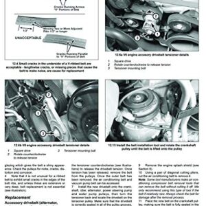 Ford Mustang, Ghia & Cobra (79-93) & Mercury Capri, Ghia & RS (79-86) with In-line 4 cyl & 6 cyl, V6 & V8 Haynes Repair Manual (Haynes Repair Manuals)