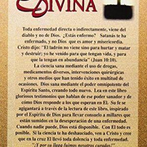 Sanidad divina (Spanish Edition)