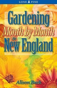 gardening month by month in new england