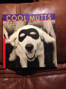 cool mutts