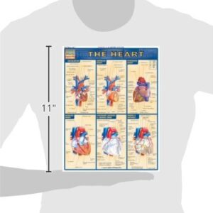 Heart QuickStudy Laminated Reference Guide (QuickStudy Academic)