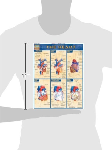 Heart QuickStudy Laminated Reference Guide (QuickStudy Academic)