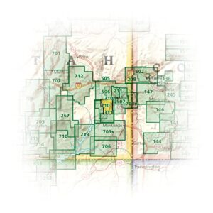 Island in the Sky District: Canyonlands National Park Map (National Geographic Trails Illustrated Map, 310)