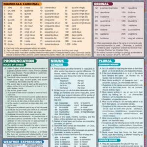 French Grammar: a QuickStudy Laminated Reference Guide