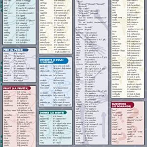 Italian Vocabulary QuickStudy Laminated Reference Guide (QuickStudy Academic)