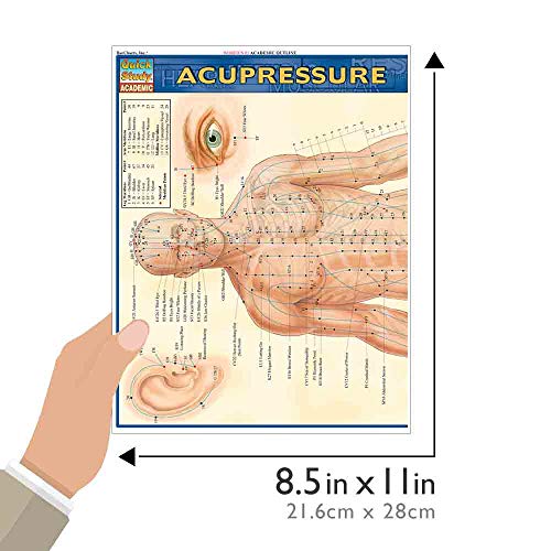 Acupressure Laminated Reference Guide (QuickStudy Academic)