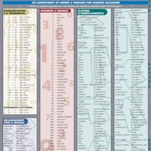 Italian Vocabulary QuickStudy Laminated Reference Guide (QuickStudy Academic)