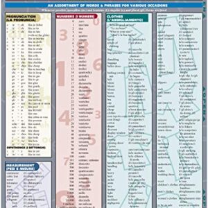 Italian Vocabulary QuickStudy Laminated Reference Guide (QuickStudy Academic)