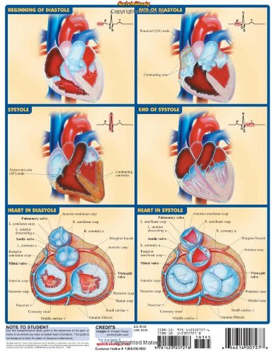 Heart QuickStudy Laminated Reference Guide (QuickStudy Academic)