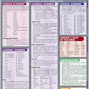 Russian Grammar QuickStudy Laminated Reference Guide (QuickStudy Academic)