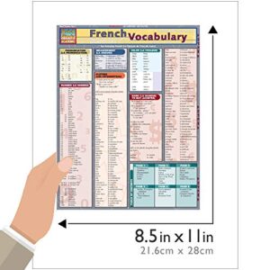 French Vocabulary QuickStudy Laminated Reference Guide (QuickStudy Academic)