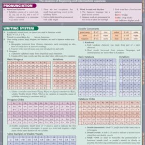 Japanese Grammar QuickStudy Laminated Reference Guide (Quick Study Academic)