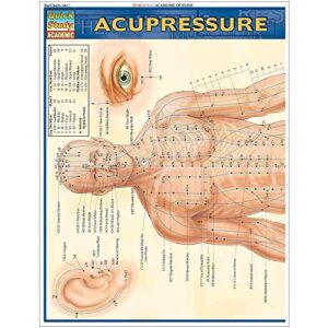 Acupressure Laminated Reference Guide (QuickStudy Academic)