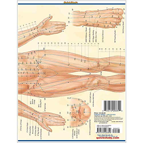 Acupressure Laminated Reference Guide (QuickStudy Academic)