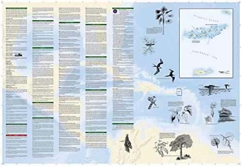 Virgin Islands National Park Map (National Geographic Trails Illustrated Map, 236)