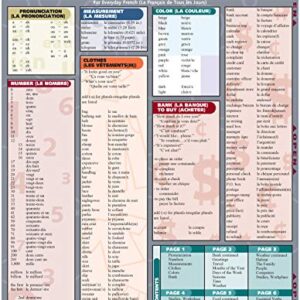 French Vocabulary QuickStudy Laminated Reference Guide (QuickStudy Academic)