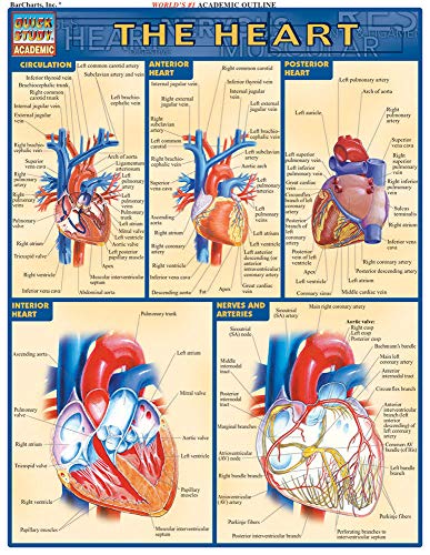 Heart QuickStudy Laminated Reference Guide (QuickStudy Academic)