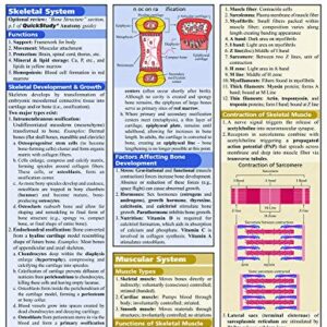 Physiology QuickStudy Laminated Reference Guide (QuickStudy Academic)