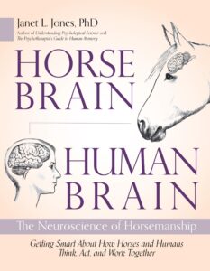 horse brain, human brain: the neuroscience of horsemanship