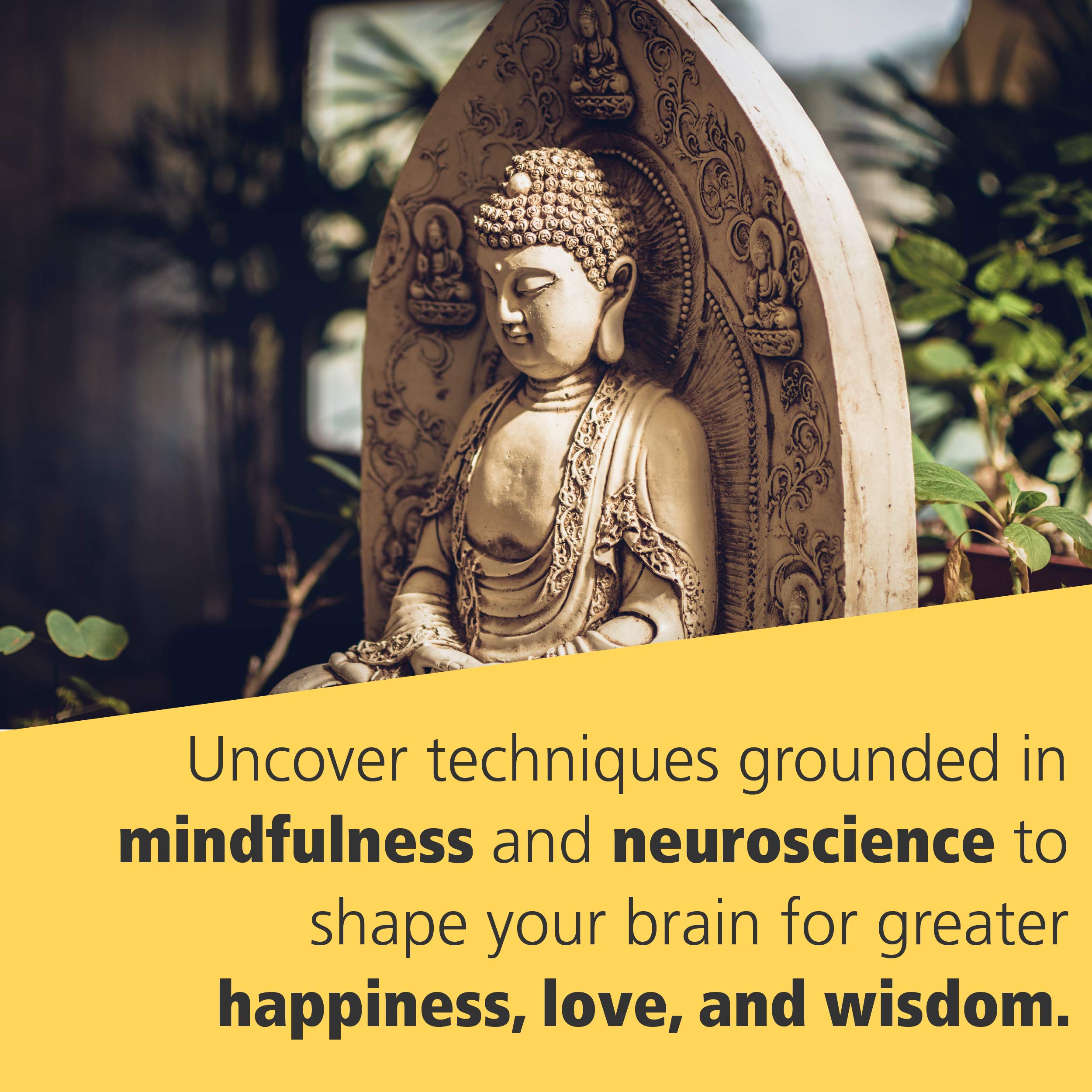 Buddha's Brain: The Practical Neuroscience of Happiness, Love, and Wisdom