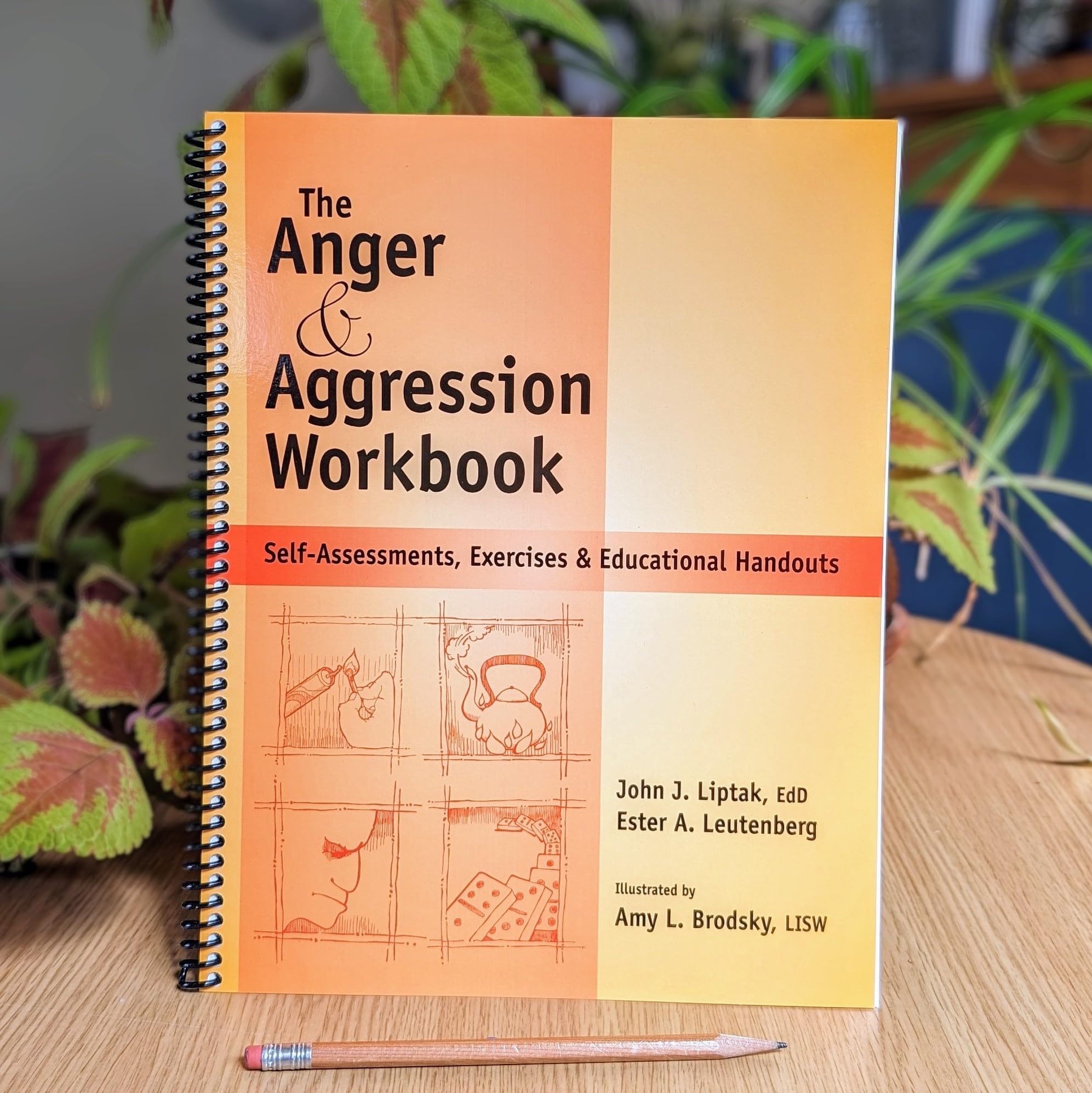 The Anger & Aggression Workbook - Reproducible Self-Assessments, Exercises & Educational Handouts (Mental Health & Life Skills Workbook Series)