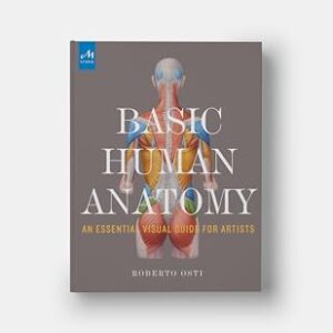 Basic Human Anatomy: An Essential Visual Guide for Artists