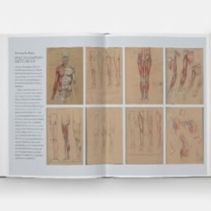 Basic Human Anatomy: An Essential Visual Guide for Artists