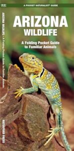 arizona wildlife: a folding pocket guide to familiar animals (nature observation north america)