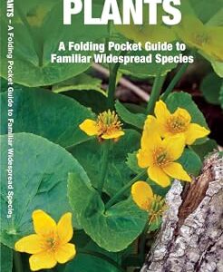 Medicinal Plants: A Folding Pocket Guide to Familiar Widespread Species (Nature Observation North America)