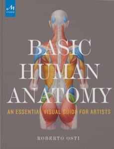 basic human anatomy: an essential visual guide for artists