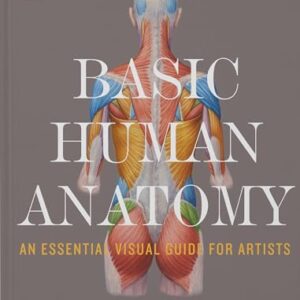 Basic Human Anatomy: An Essential Visual Guide for Artists