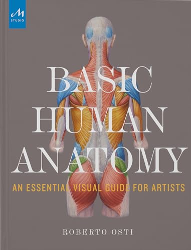 Basic Human Anatomy: An Essential Visual Guide for Artists