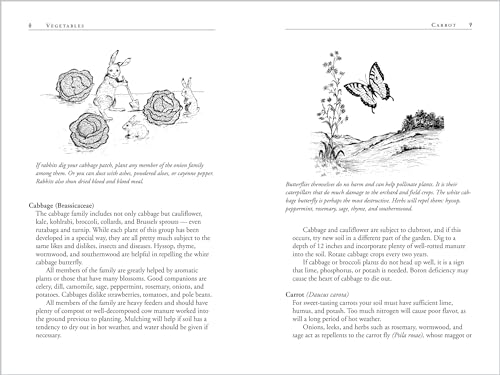 Carrots Love Tomatoes: Secrets of Companion Planting for Successful Gardening