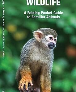 Amazon Wildlife: A Folding Pocket Guide to Familiar Animals (Nature Observation International)