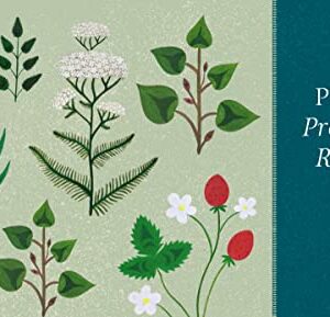 Held by the Land: A Guide to Indigenous Plants for Wellness