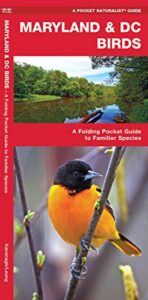 maryland & dc birds: a folding pocket guide to familiar species (nature observation north america)