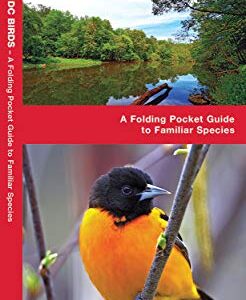 Maryland & DC Birds: A Folding Pocket Guide to Familiar Species (Nature Observation North America)