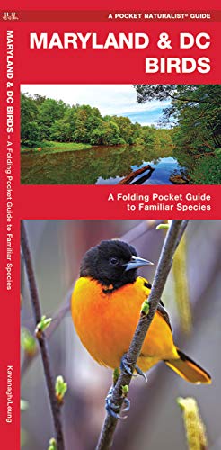 Maryland & DC Birds: A Folding Pocket Guide to Familiar Species (Nature Observation North America)