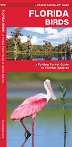 florida birds: a folding pocket guide to familiar species (nature observation north america)