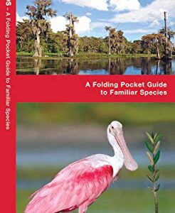 Florida Birds: A Folding Pocket Guide to Familiar Species (Nature Observation North America)