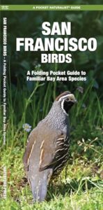 san francisco birds: a folding pocket guide to familiar bay area species (nature observation north america)