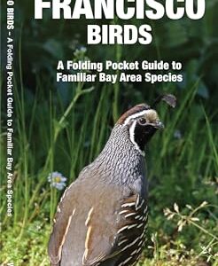 San Francisco Birds: A Folding Pocket Guide to Familiar Bay Area Species (Nature Observation North America)