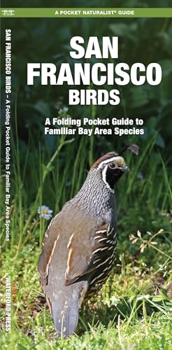 San Francisco Birds: A Folding Pocket Guide to Familiar Bay Area Species (Nature Observation North America)