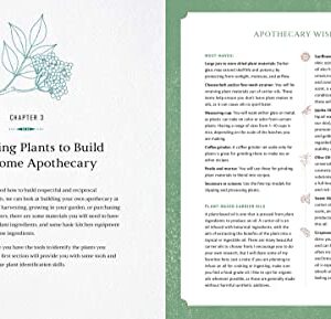 Held by the Land: A Guide to Indigenous Plants for Wellness