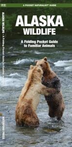 alaska wildlife: a folding pocket guide to familiar animals (nature observation north america)