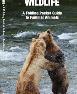 Alaska Wildlife: A Folding Pocket Guide to Familiar Animals (Nature Observation North America)