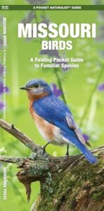 missouri birds: a folding pocket guide to familiar species (nature observation north america)