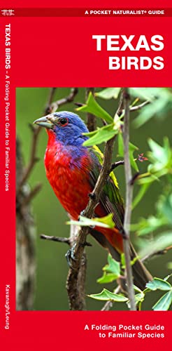 Texas Birds: A Folding Pocket Guide to Familiar Species (Nature Observation North America)