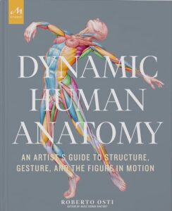 dynamic human anatomy: an artist's guide to structure, gesture, and the figure in motion