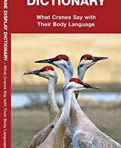 Sandhill Crane Display Dictionary: What Cranes Say With Their Body Language (Nature Observation North America)